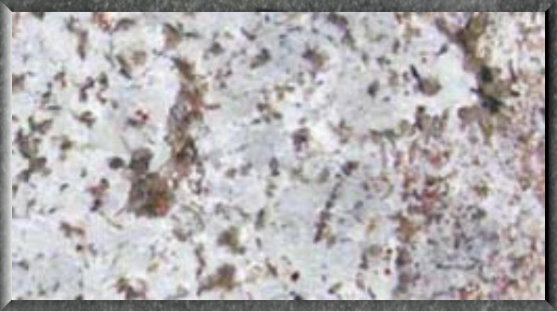 Exotic Package | Rome Granite